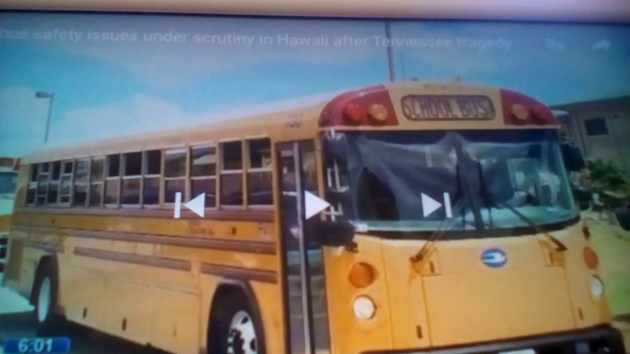 blue bird all amercian t3re bus B-730 - YouTube