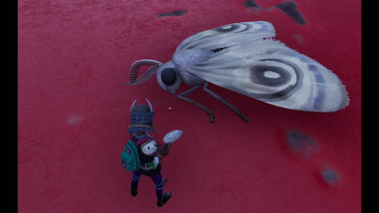 Cute Sleeping Moth - Grounded - YouTube