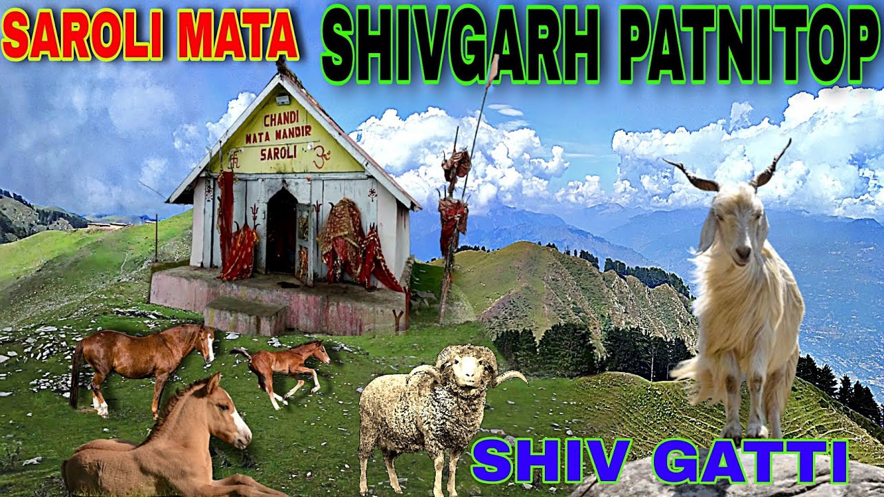 Patnitop Shivgarh Track and Saroli Mata Full Track One Day... 🏔🌲🐑🐎My ...
