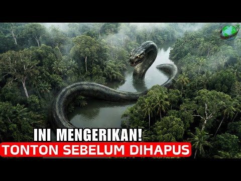 Kamu Hanya Melihat Ini Sekali Seumur Hidup! Makhluk Mengerikan Ini ...