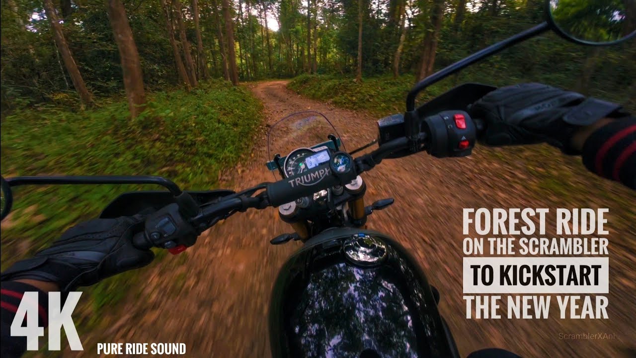 30 KMS Dense Forest Ride - Triumph Scrambler | Achankovil Forest | Pure ...