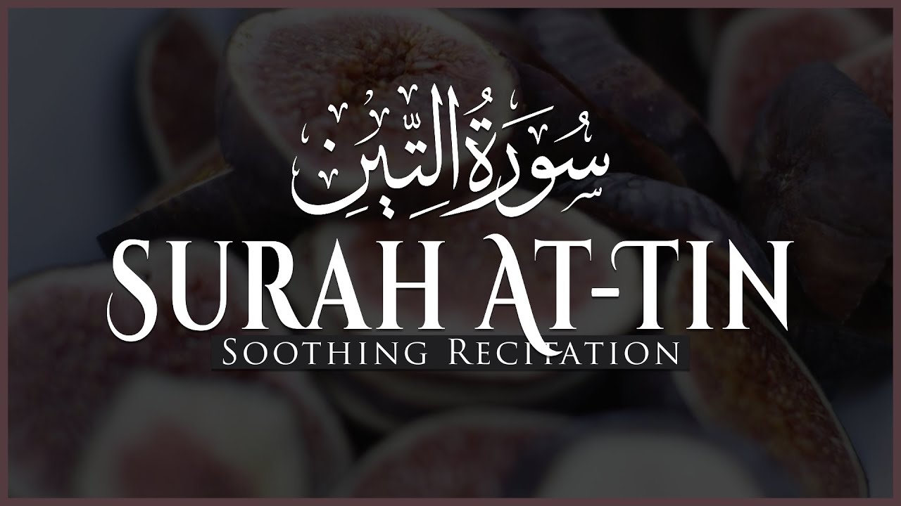 Surah At-Tin (The Fig) | Heart Soothing Recitation | سوره التین ...