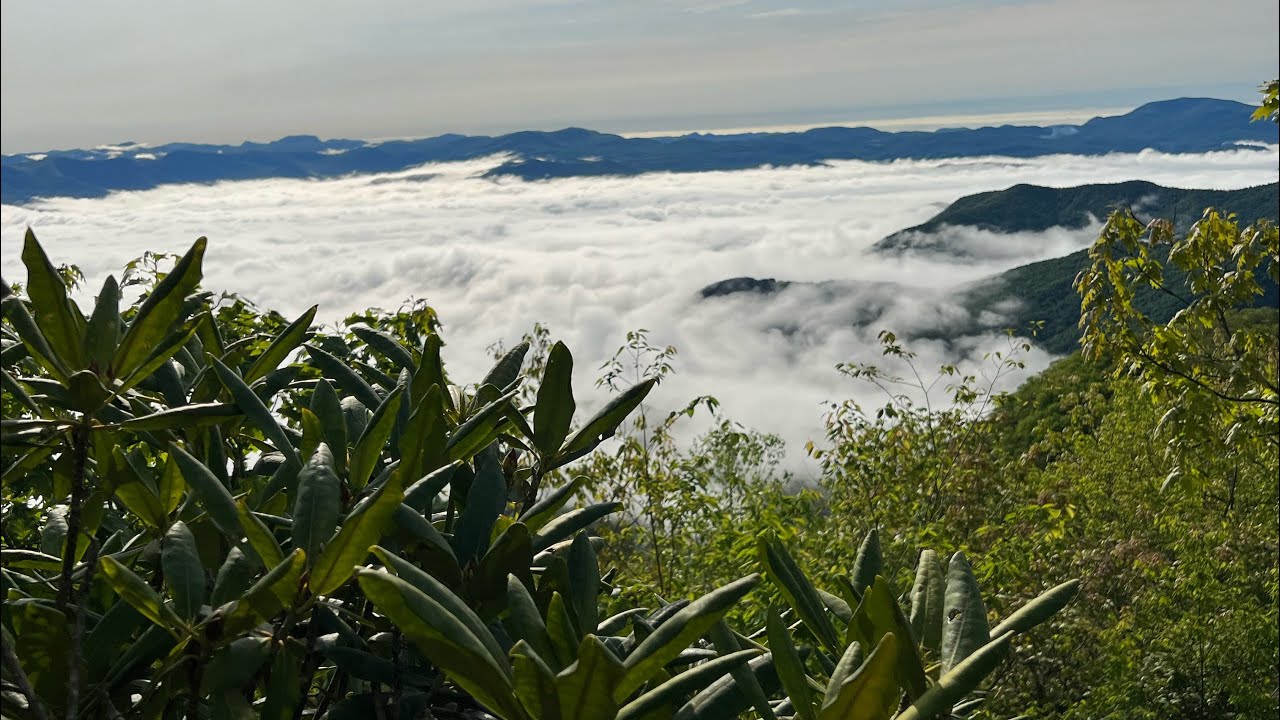 Appalachian Trail 2022:Day 7 Albert Mountain to Wayah Gap Picnic Area ...