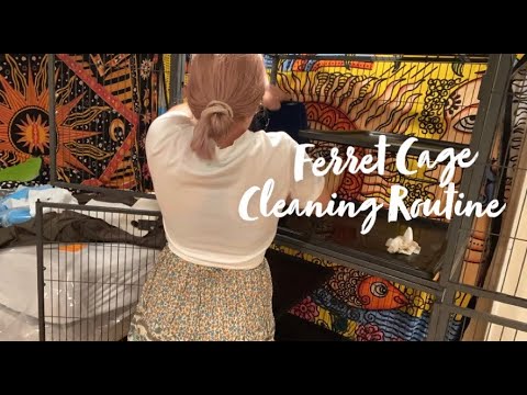 Ferret Cage Cleaning Routine - YouTube