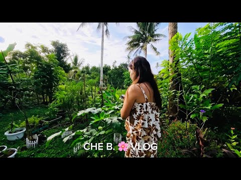Slow Morning in the Province| Driving Through our Town| A Day in my Life