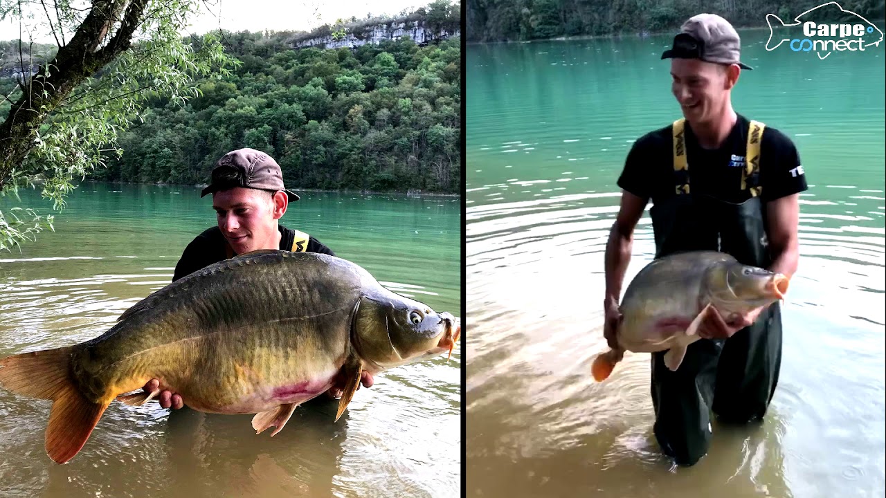 Lac de Vouglans carpe - YouTube