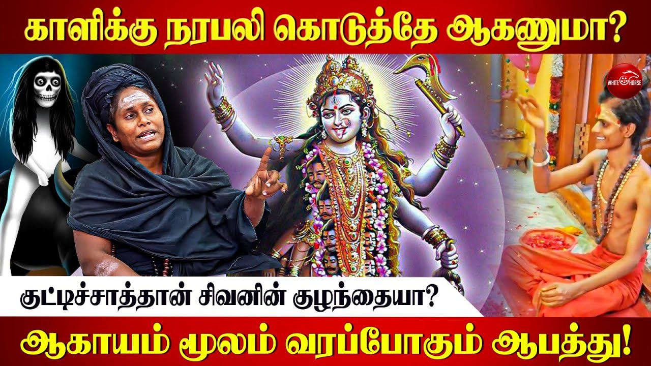 அகோரி கலையரசன் காளிய வச்சு மாந்திரீகமா பண்ற; உண்மையை உடைக்கும் ...