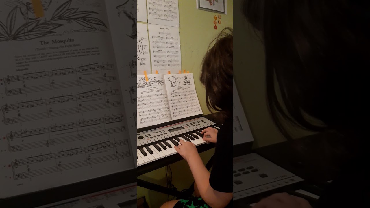 Michael Aaron Piano Course Grade 2, The Mosquito pg 28 - YouTube