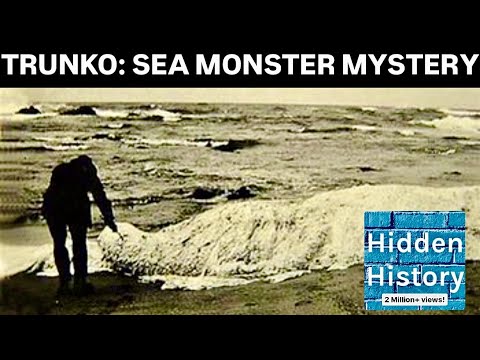 What was Trunko – the mysterious killer sea creature from 1924? - YouTube
