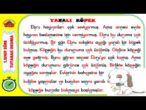 1.Sınıf Süre Tutarak Okuma Çalışması -15 I Yaralı Köpek Metni I 64  Kelime