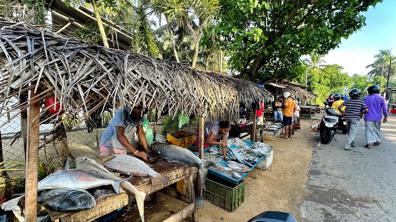 Unbelievable!! Village Best Fish Market | Villagers Expert Fish Cutting ...