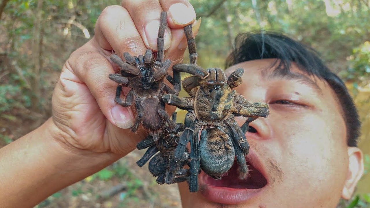 Giant Tarantula Spider In The Hole Cooked In Iron Pot - YouTube
