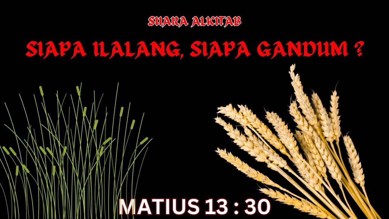 SUARA ALKITAB !!! Kristen diambang perpecahan - YouTube