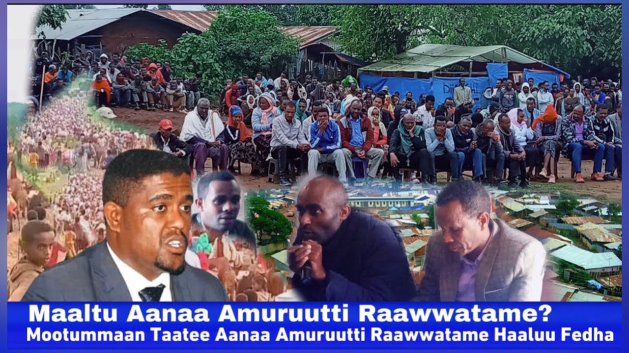 Taatee Tibbana Aanaa Amuruu Magaalaa Agamsaatti Tahe maali? - YouTube