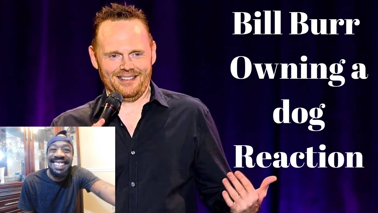 Bill Burr Owning a Dog Reaction - YouTube