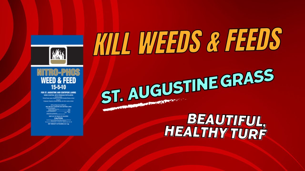 Nitro-Phos Weed & Feed with Atrazine - YouTube