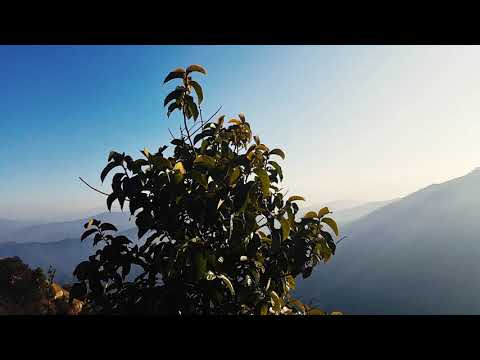 Active Your Right Brain | Spiritual Rising Healing Music | Brain Hemisphere Synchronization