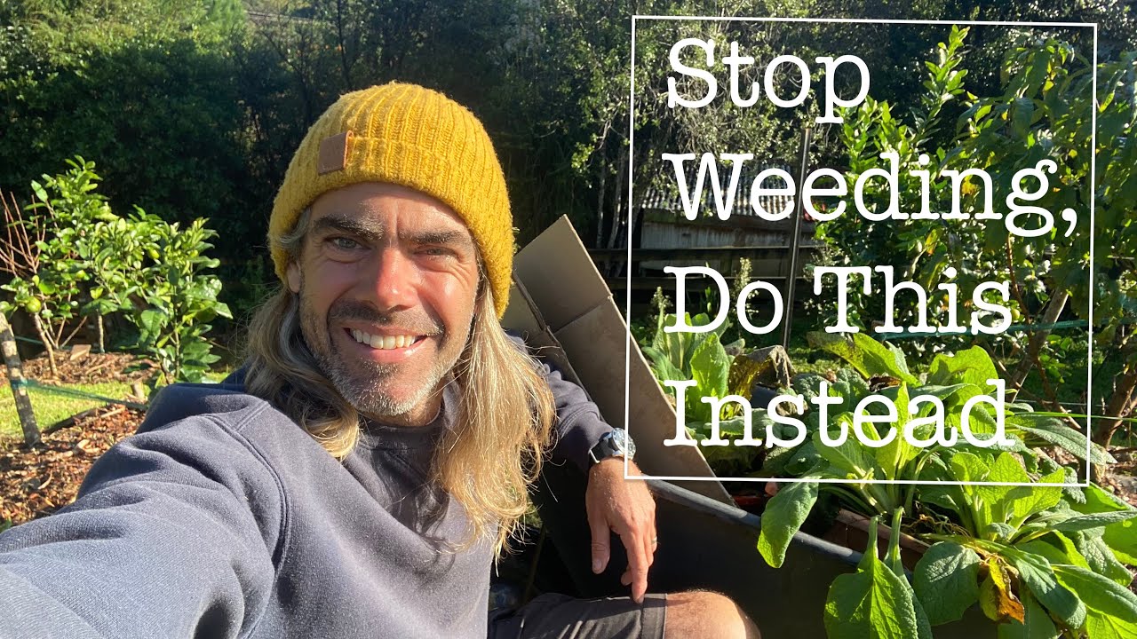 STOP WEEDING your garden! Do these 4 things instead. ep 38 - YouTube
