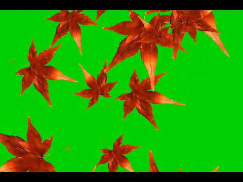 falling leaves green screen - YouTube