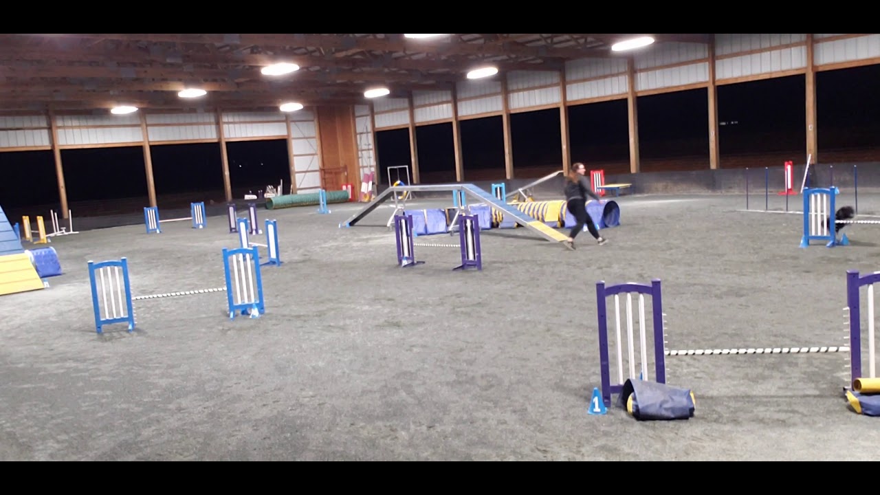 Tamas Traj training course 2/24/21 - YouTube