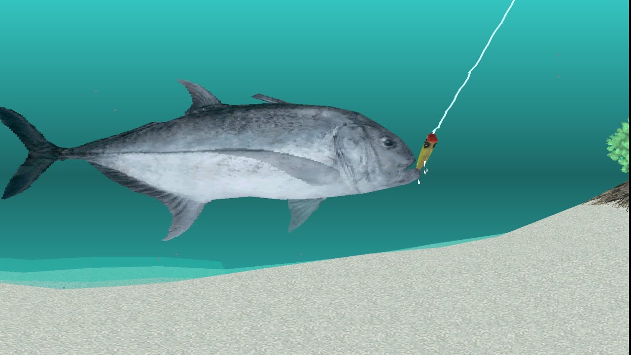 Reel Fishing II/Fish Eyes II - All Fish Playthrough Part 11 - YouTube