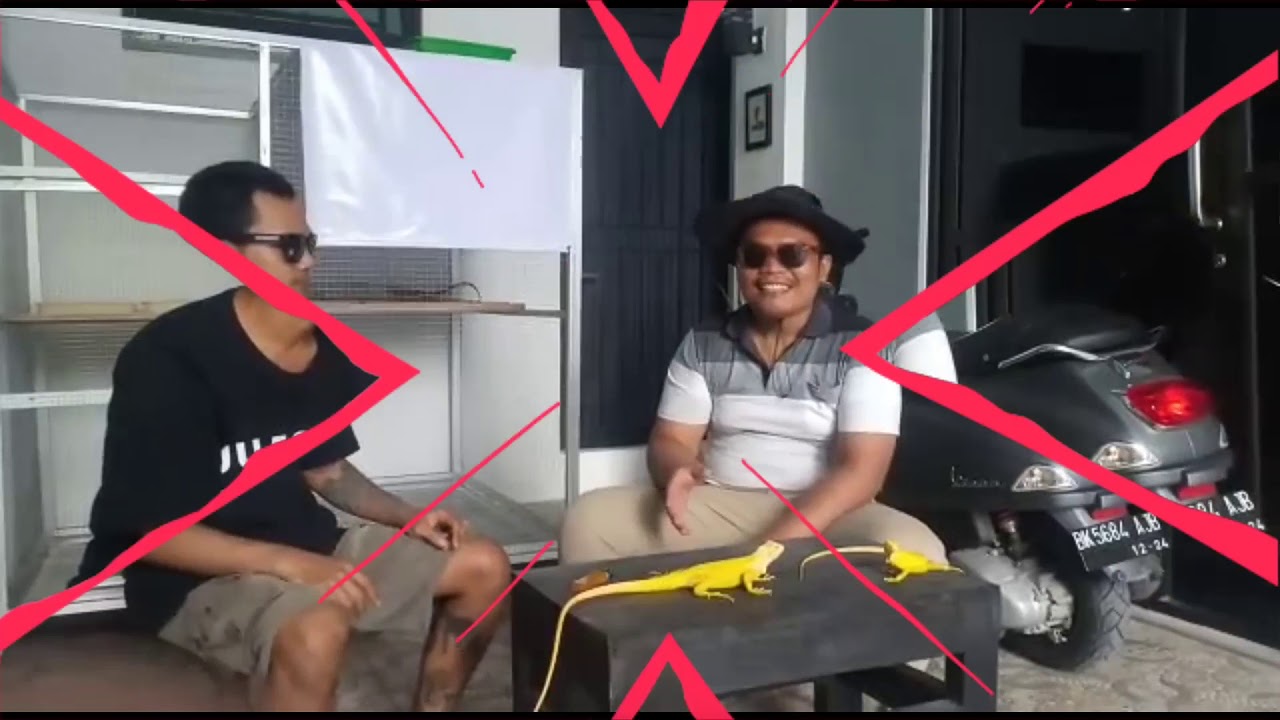 Berbincang bincang bersama penghoby reptil - YouTube