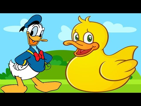 Five little ducks | Quack Quack Quack | Nursery Rhymes | - YouTube