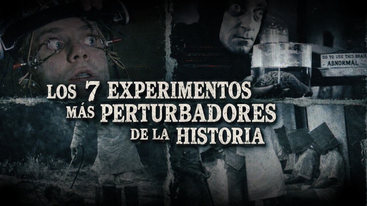 TOP: Los 7 Experimentos más Perturbadores de la Historia - YouTube