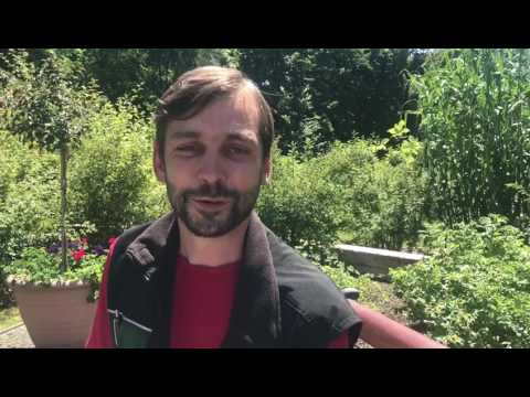 Interview mit Gärtner Thomas Moos - YouTube