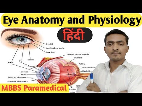 Eye Anatomy and Physiology in Hindi | Structure | Function | Cornea ...