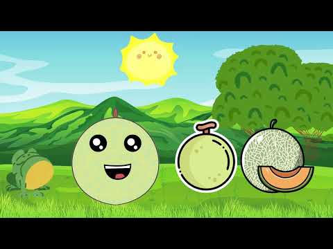 Mengenal Buah Melon | Buah yang manis,lembut dan banyak vitamin