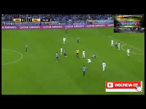 Felipe Melo do palmeira  e expulso sai de Campo chorando Grêmio x Palmeiras Libertadores