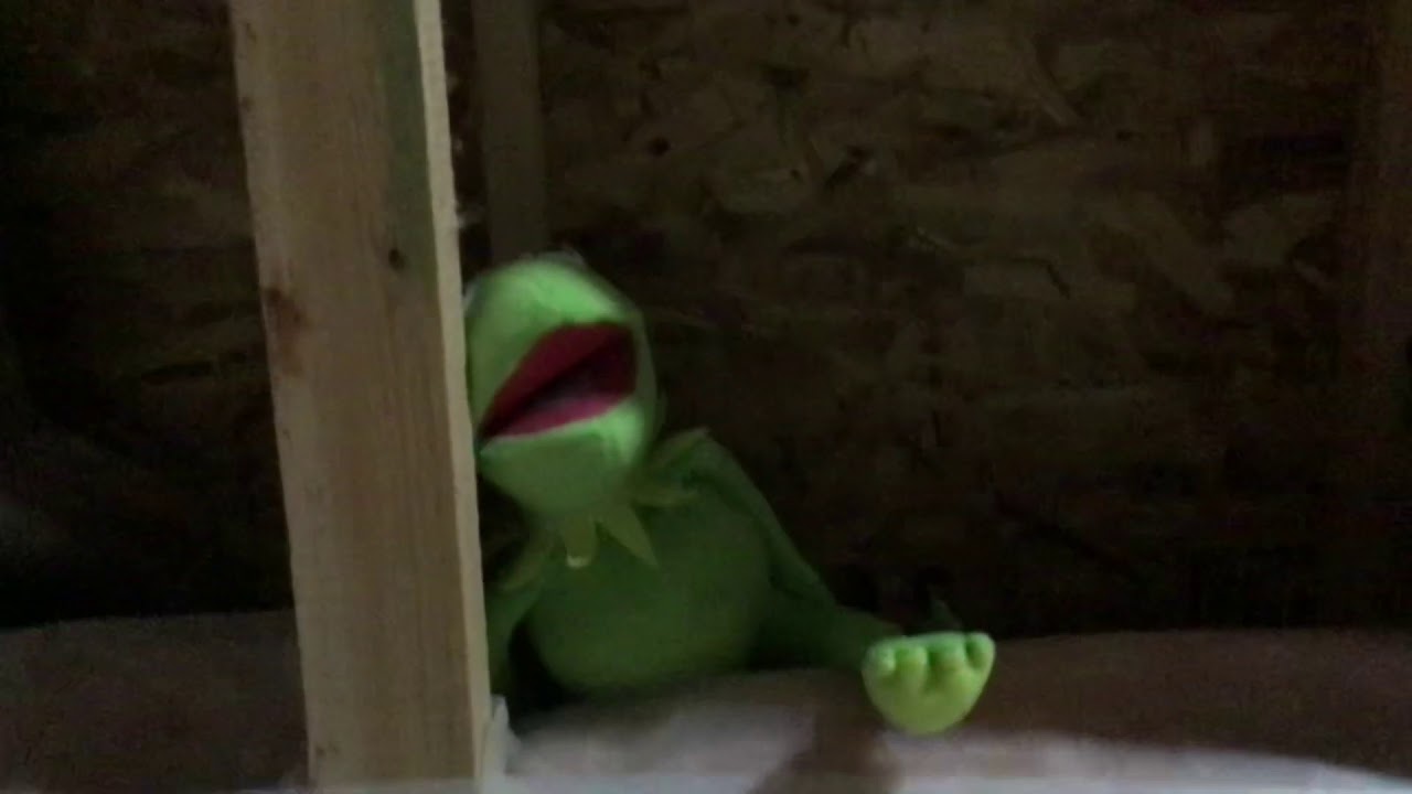 Kermit is a legend - YouTube