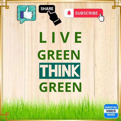 brought to you by the damsel foundation here to save the planet - YouTube