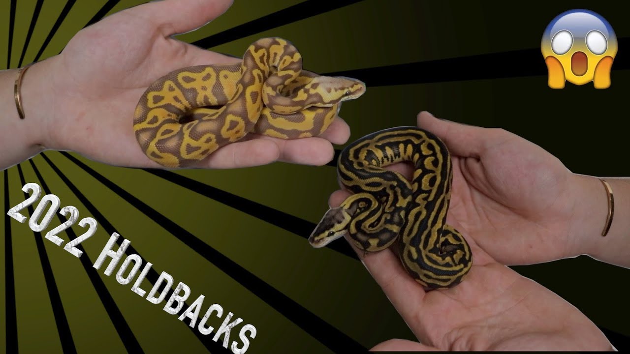 Moving Our GREATEST Holdbacks Of ALL TIME!! - YouTube