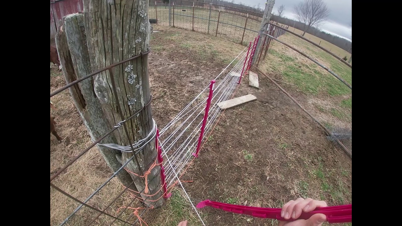 temp goat paddock - YouTube