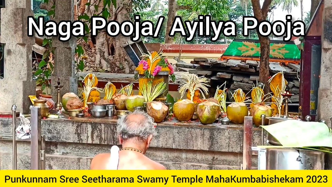 Naga Pooja | Ayilya Pooja | MahaKumbabishekam 2023 | Punkunnam ...