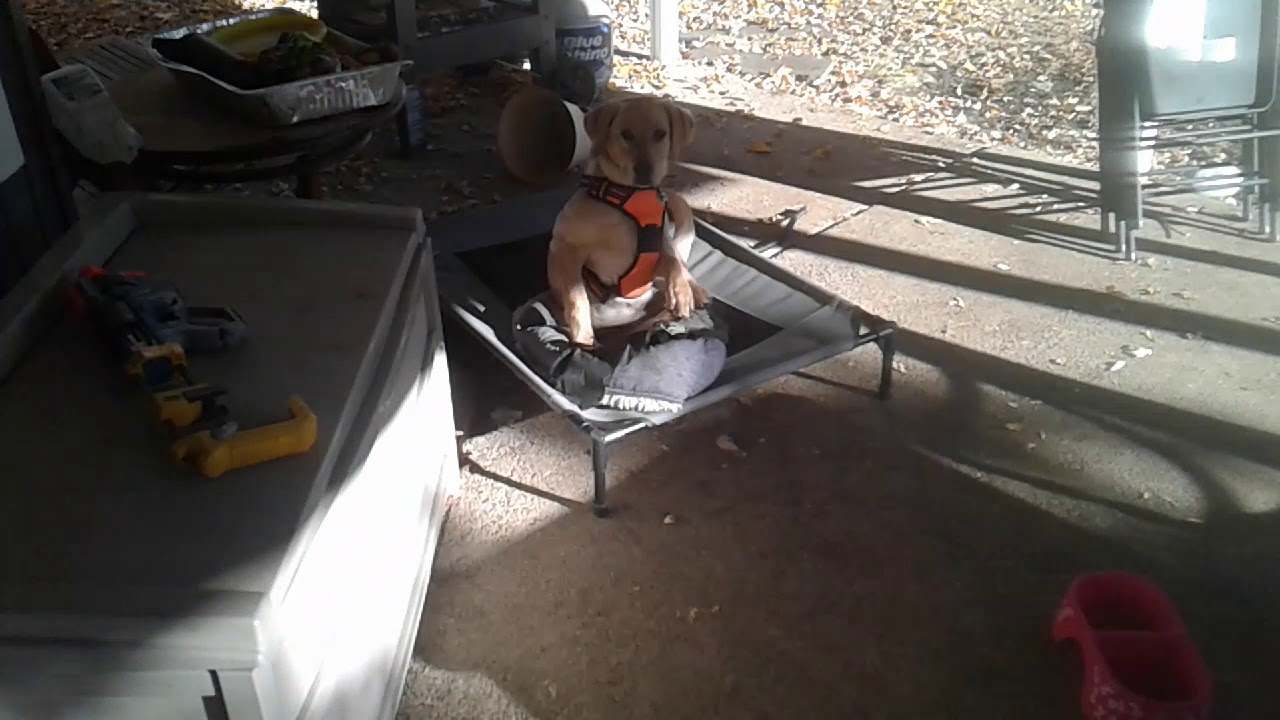 Season 2 ep 1 - YouTube