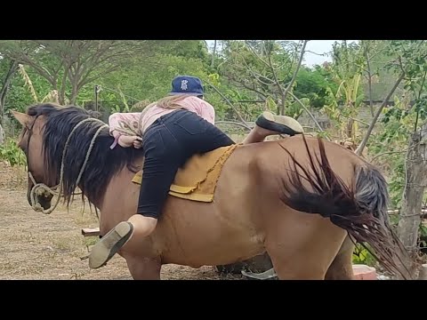 Niña Cabalgando Libre Asi Cuida a su caballo 🐎 - YouTube