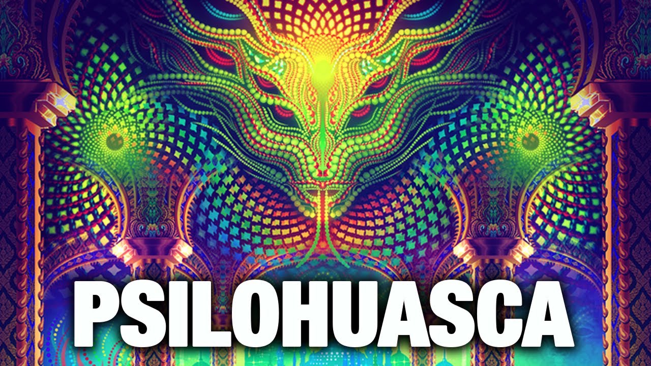 Psilohuasca: Cogumelos + IMAOs (DMT Oral)? 🍄 - YouTube