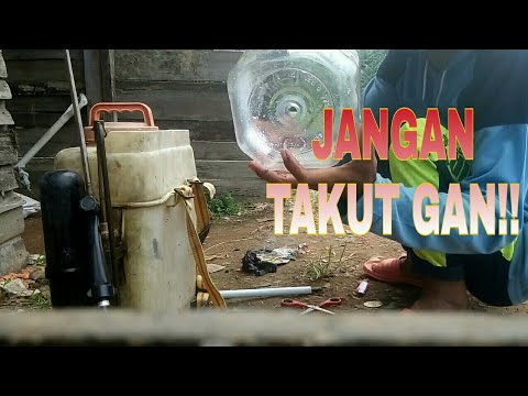 MERACUN RUMPUT ALA MALAYSIA :) - YouTube