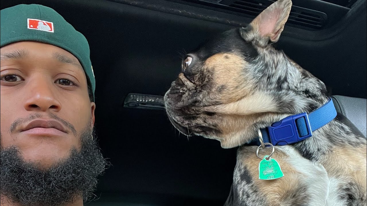 ROADTRIP ️ . Cayona & Mayo. - YouTube