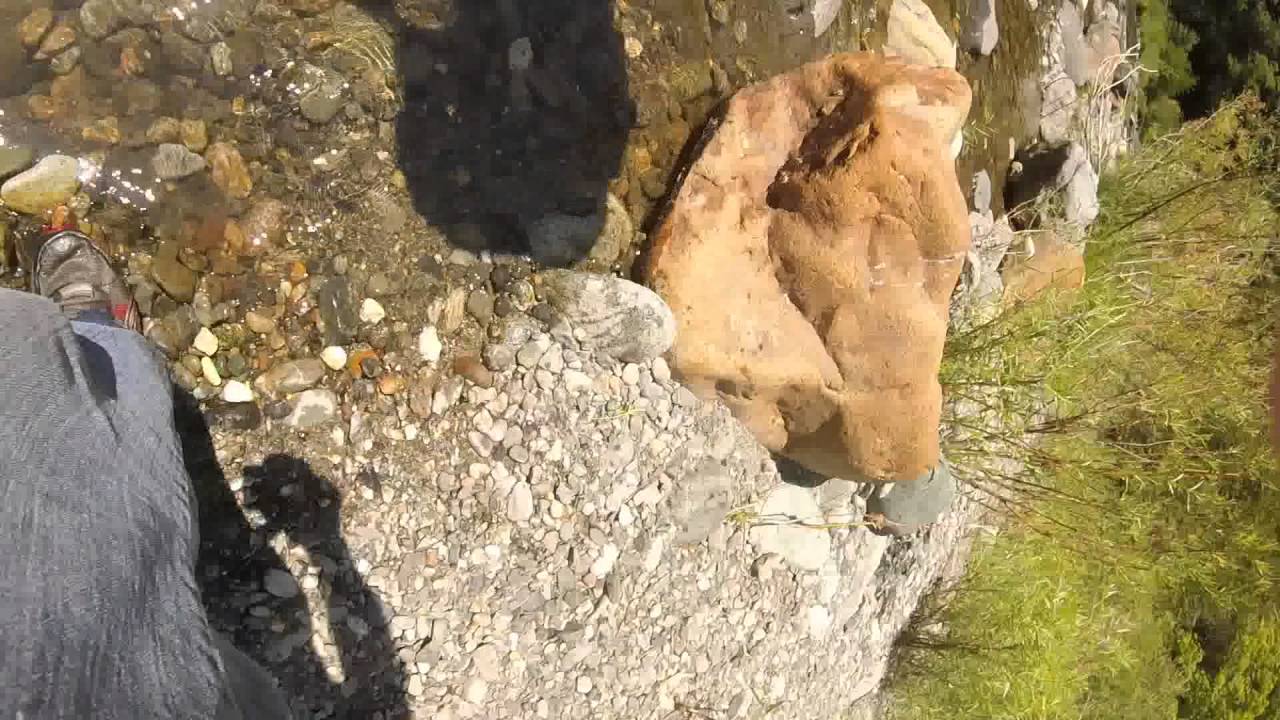 Sierra RG Pt. 2--8/14/16-Feat. Whiskers The Wonder Dog!- -Larry, Steve ...