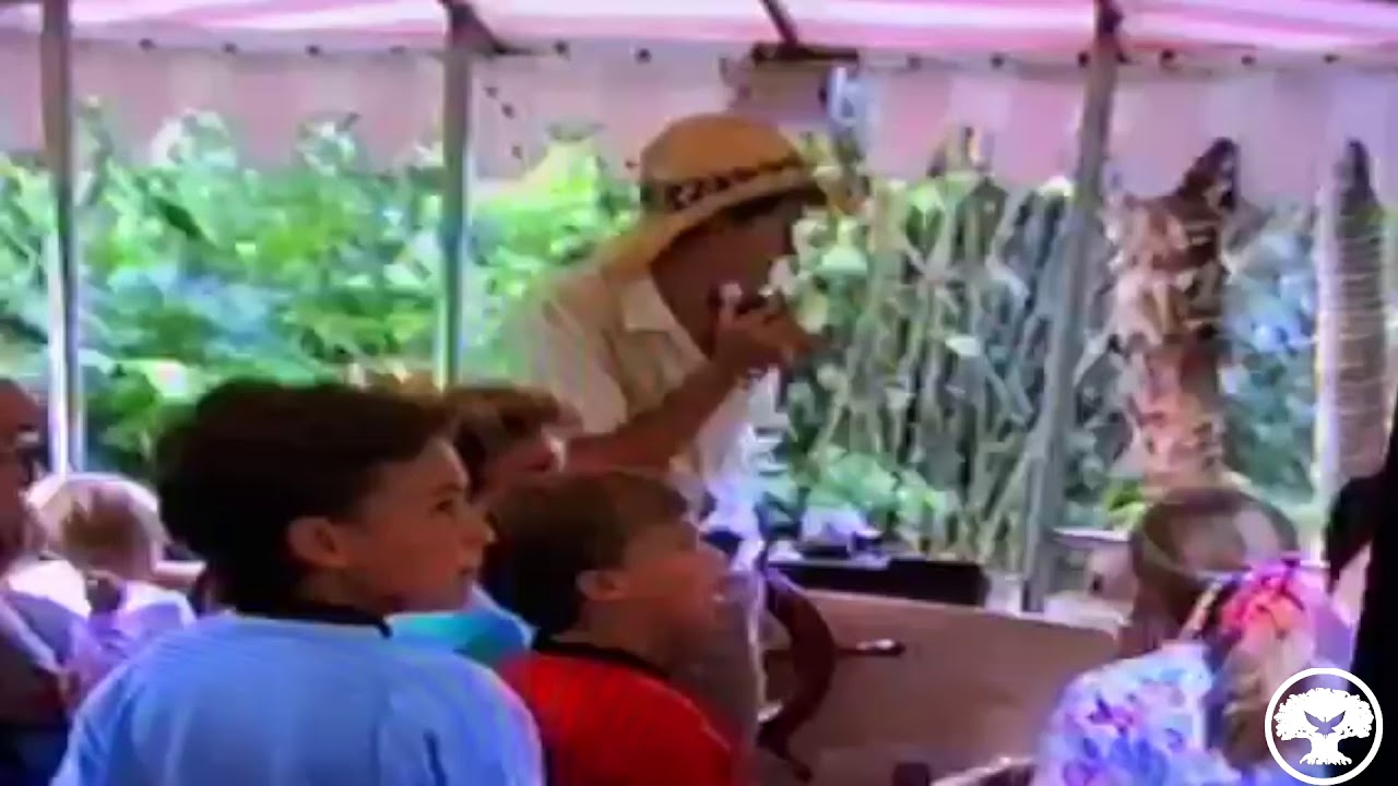 Bobby Jungle - YouTube