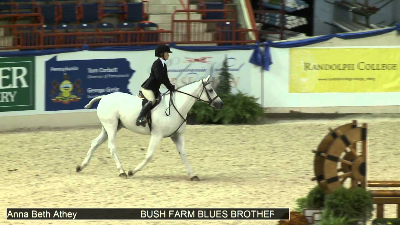 510 BUSH FARM BLUES BROTHER Anna Beth Athey, Class 13 Large Pony Hunter ...