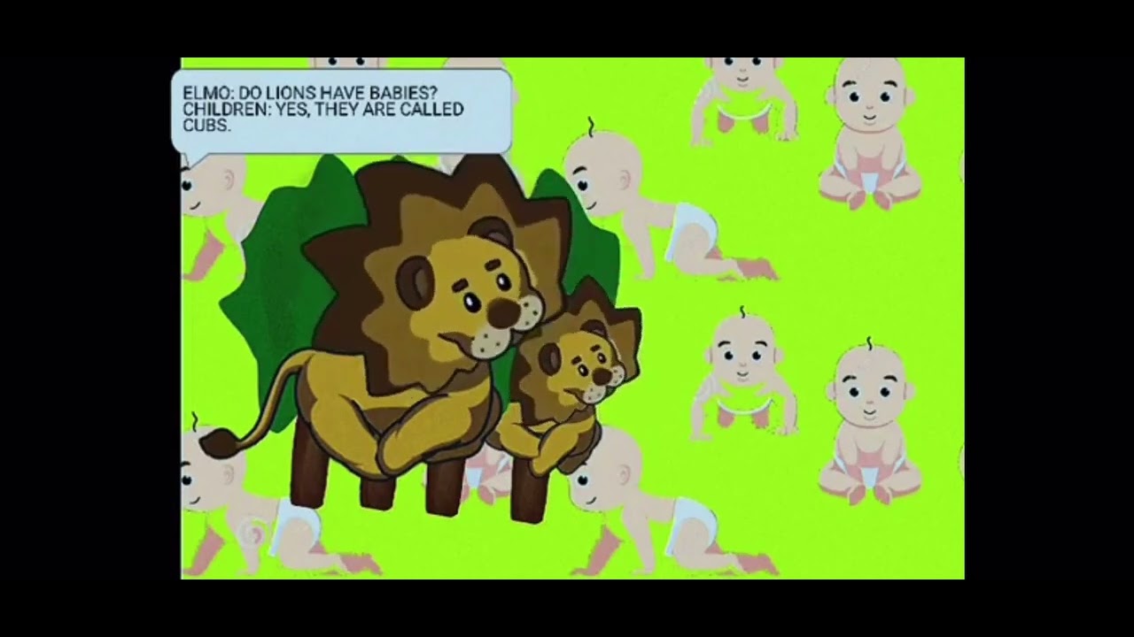 Elmo world quiz babies - YouTube