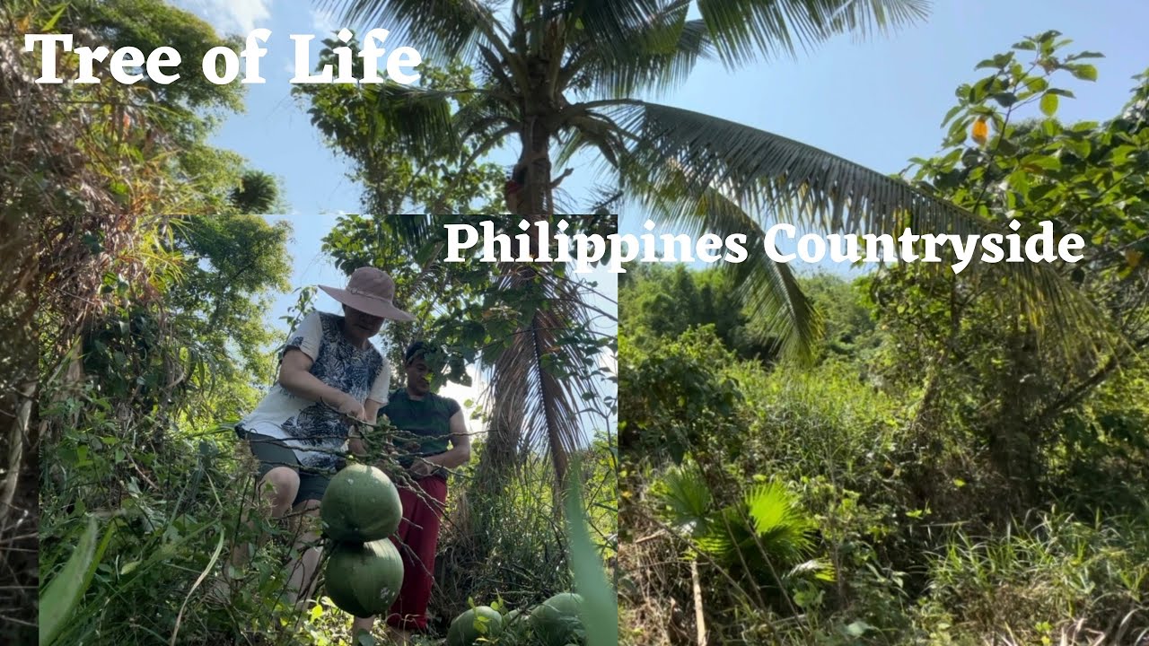 Simple Good Living in the Countryside/Philippines Life #mztez - YouTube