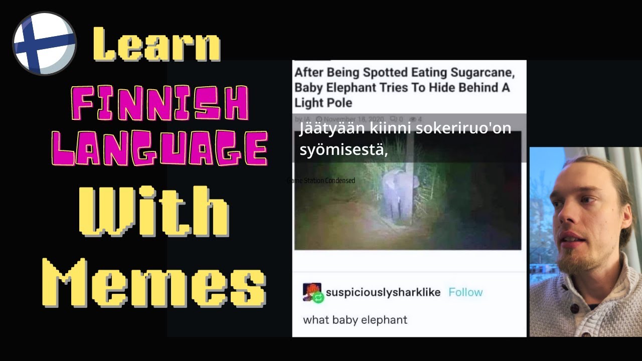 Funny Internet Memes (With Finnish Translations) - YouTube