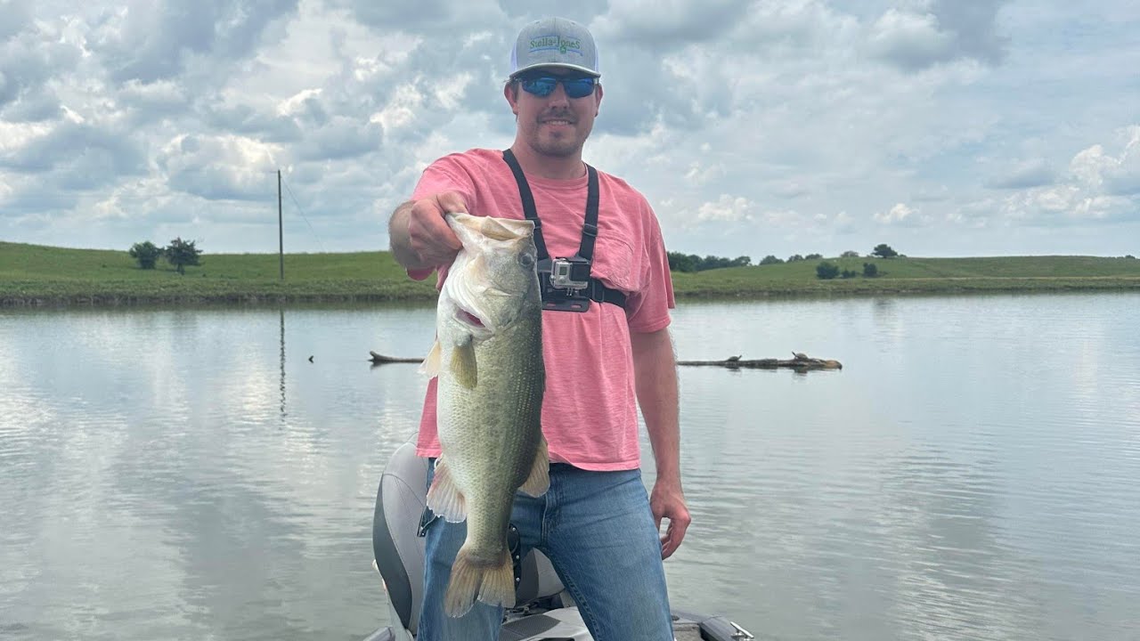 Aggressive Largemouth Tiger Bass. Triple D Ranch Alabama. - YouTube