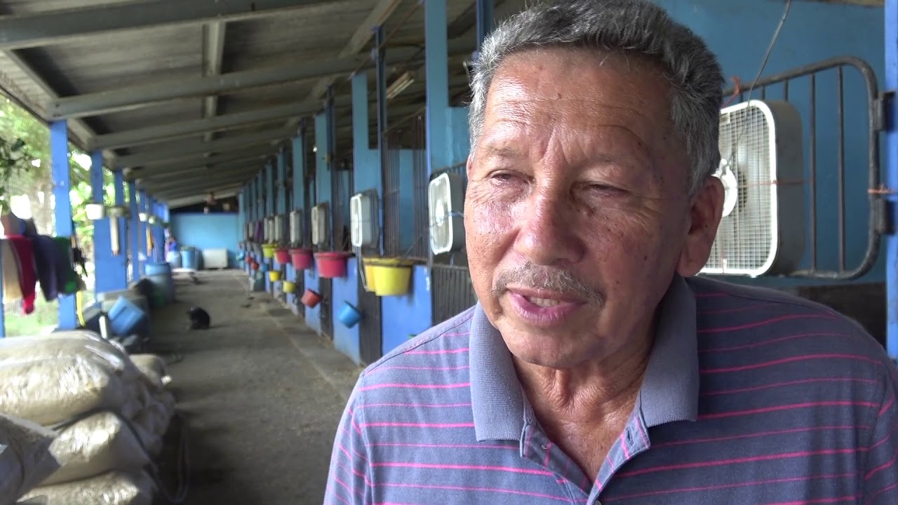 Clásico Luis Muñoz Rivera 2018 - Máximo Gómez - Huye Ulloa - YouTube